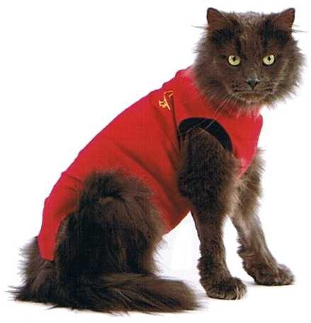 Medical Pet Shirt™ - Gilet de protection pour chats - MPS / Direct-Vet